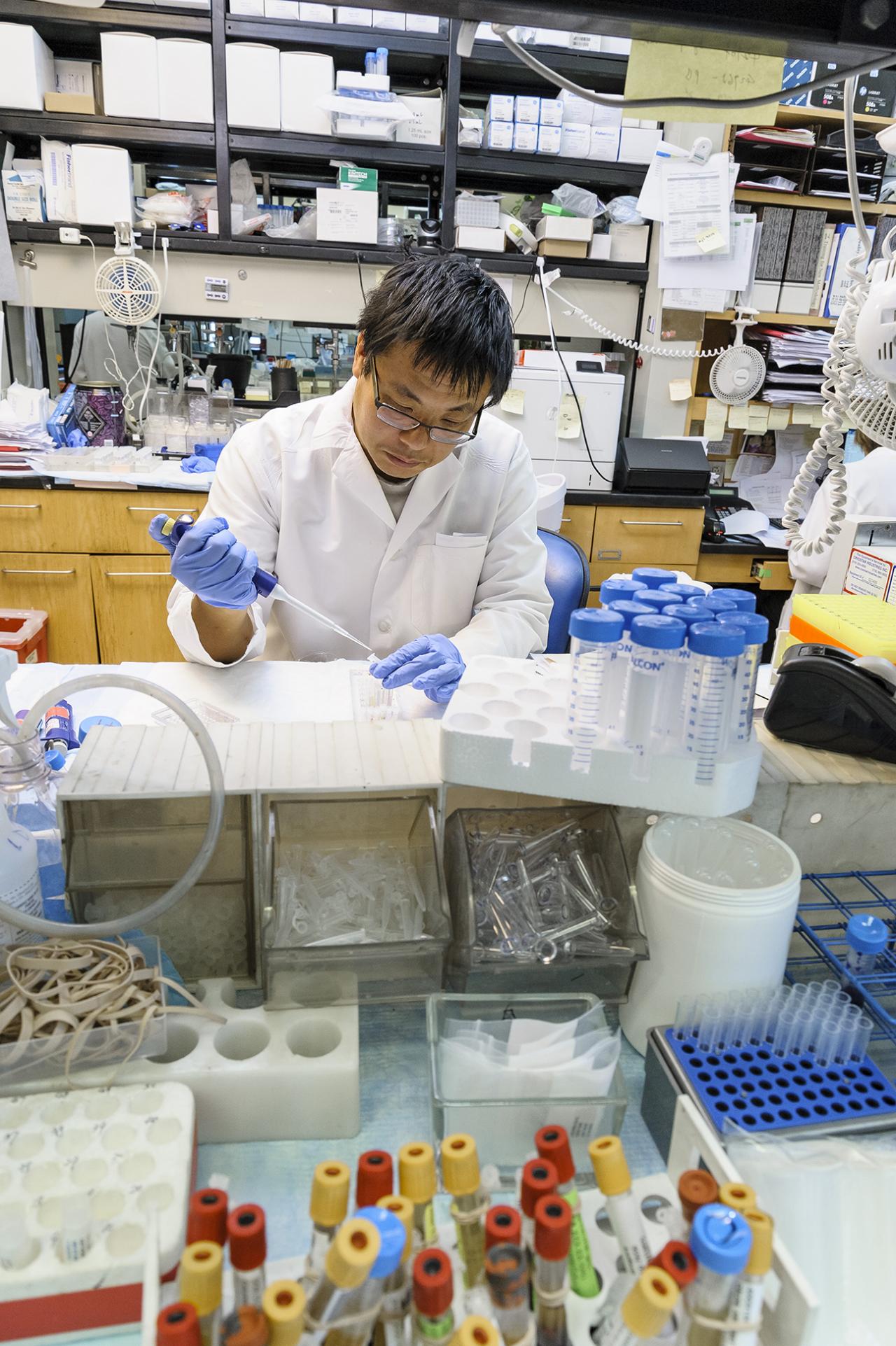 Immunogenetics and Cellular Immunology Laboratory | Pathology