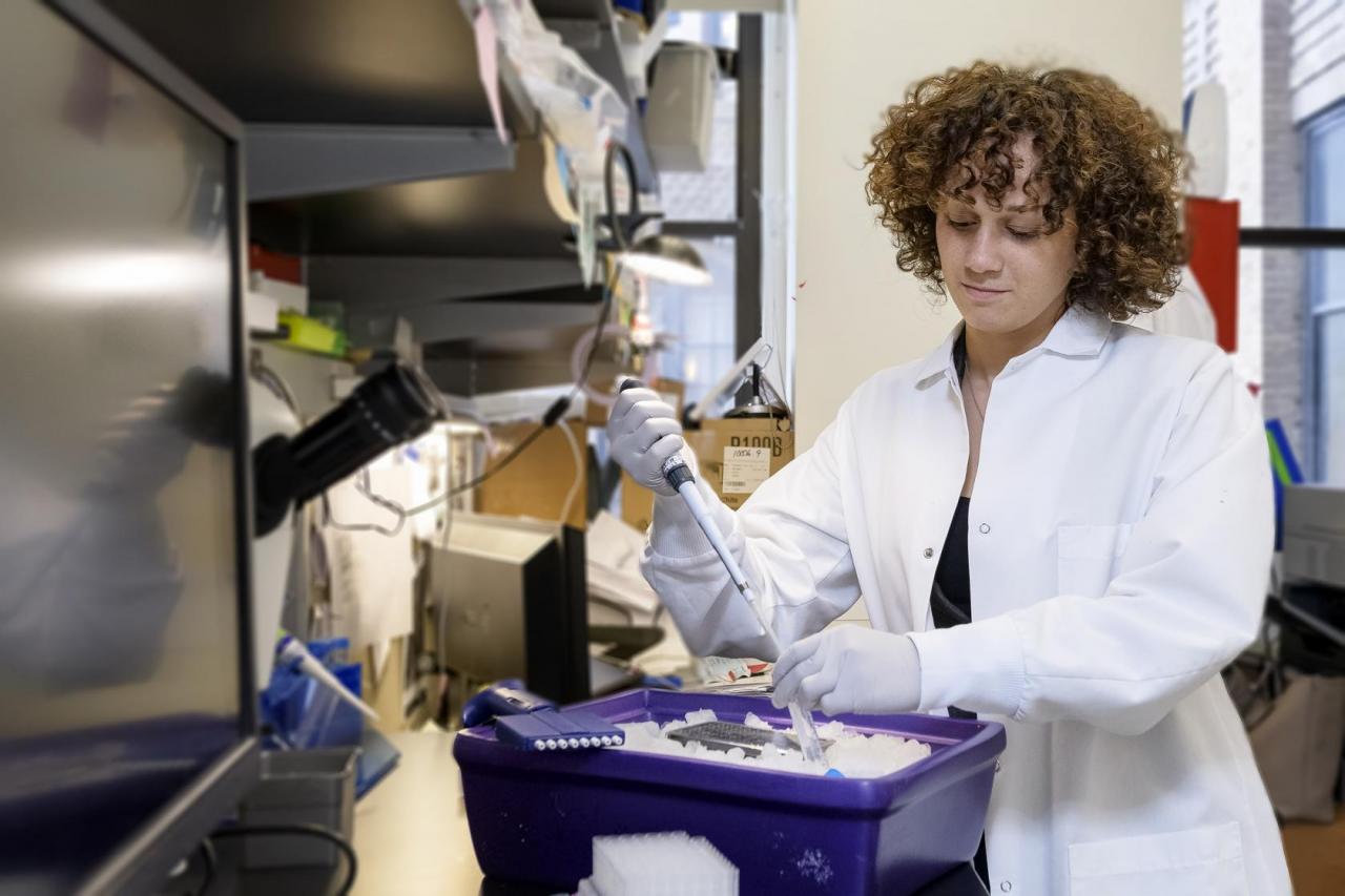 Graduate Program in Pathobiology and Mechanisms of Disease | Pathology