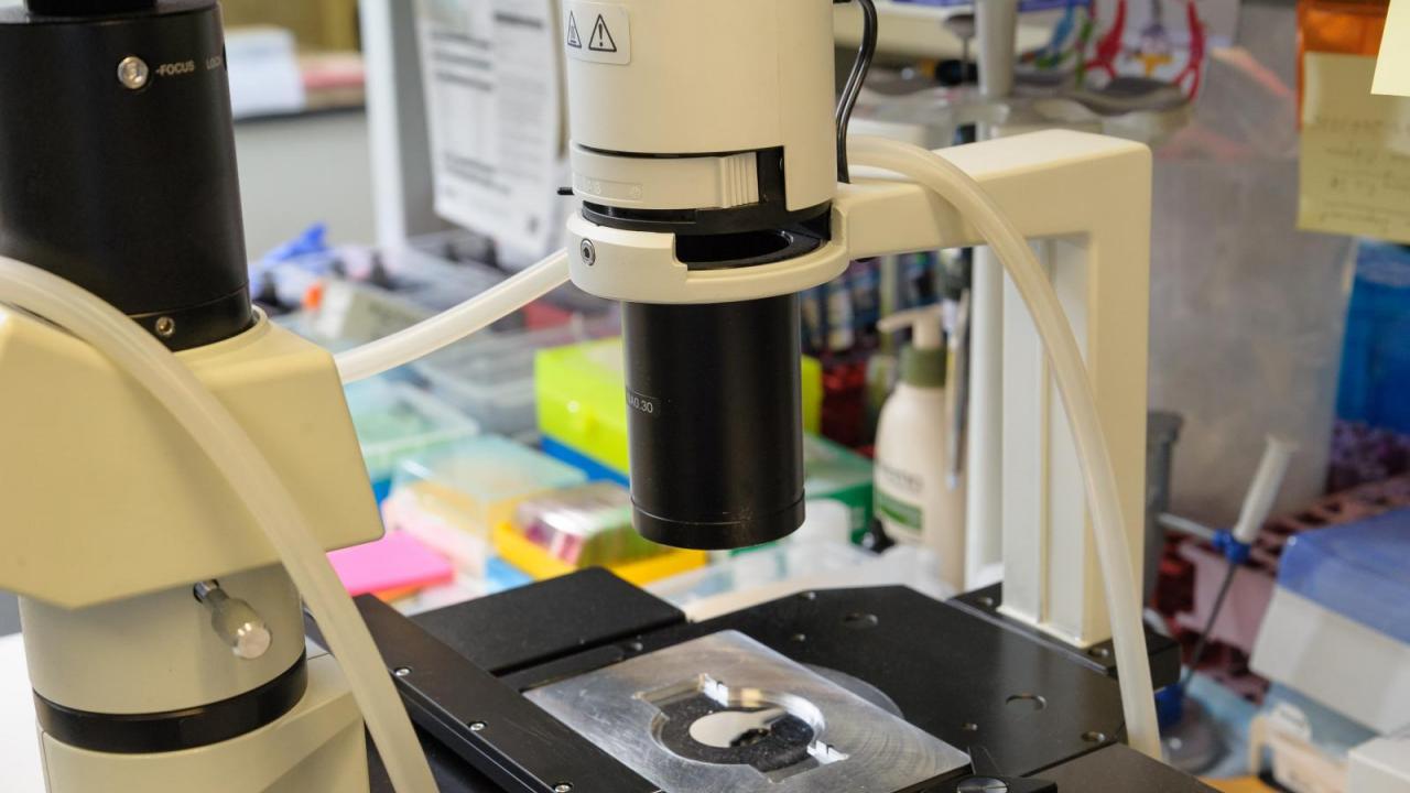 Precision Genomics Laboratory Established at CUMC | Pathology