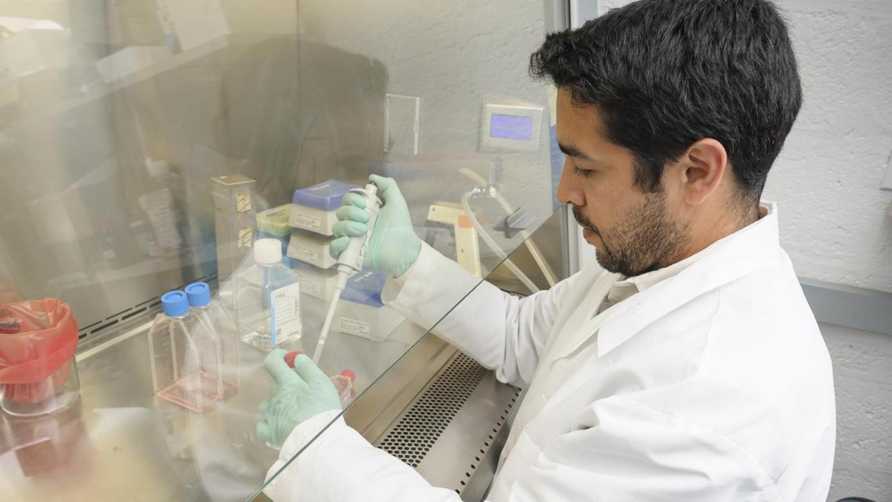 Clinical and Translational Research | Pathology