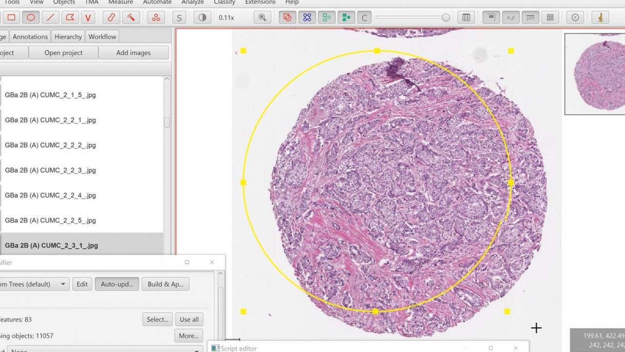 DCPL Learning Center | Digital and Computational Pathology Laboratory ...