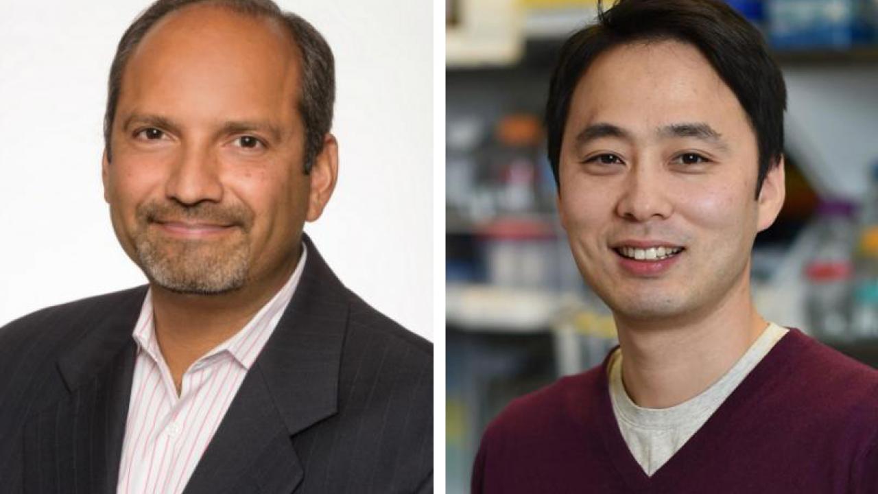 Two Pathology Faculty Members Awarded New Funding | Pathology