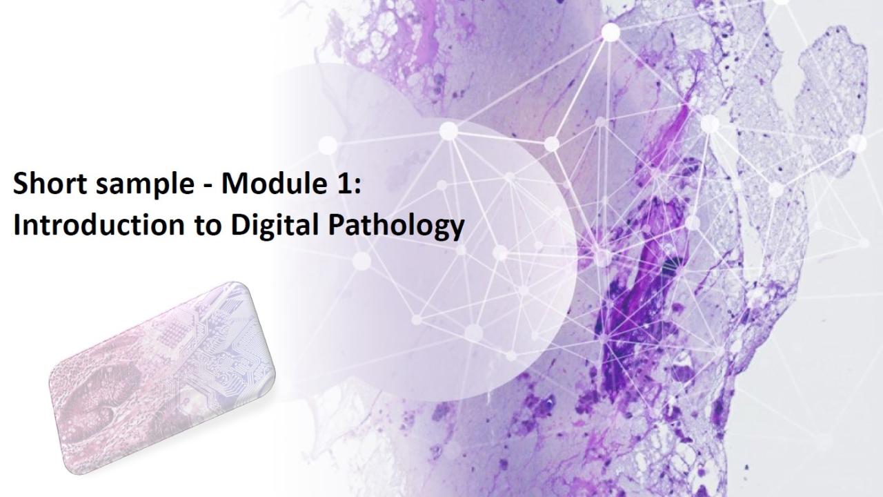 DCPL Learning Center | Digital and Computational Pathology Laboratory ...