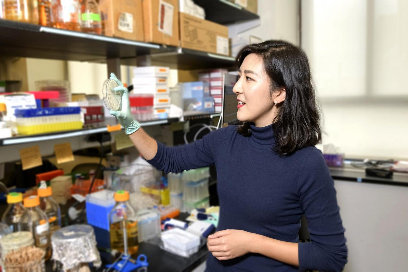 Application and Program Requirements | Pathology