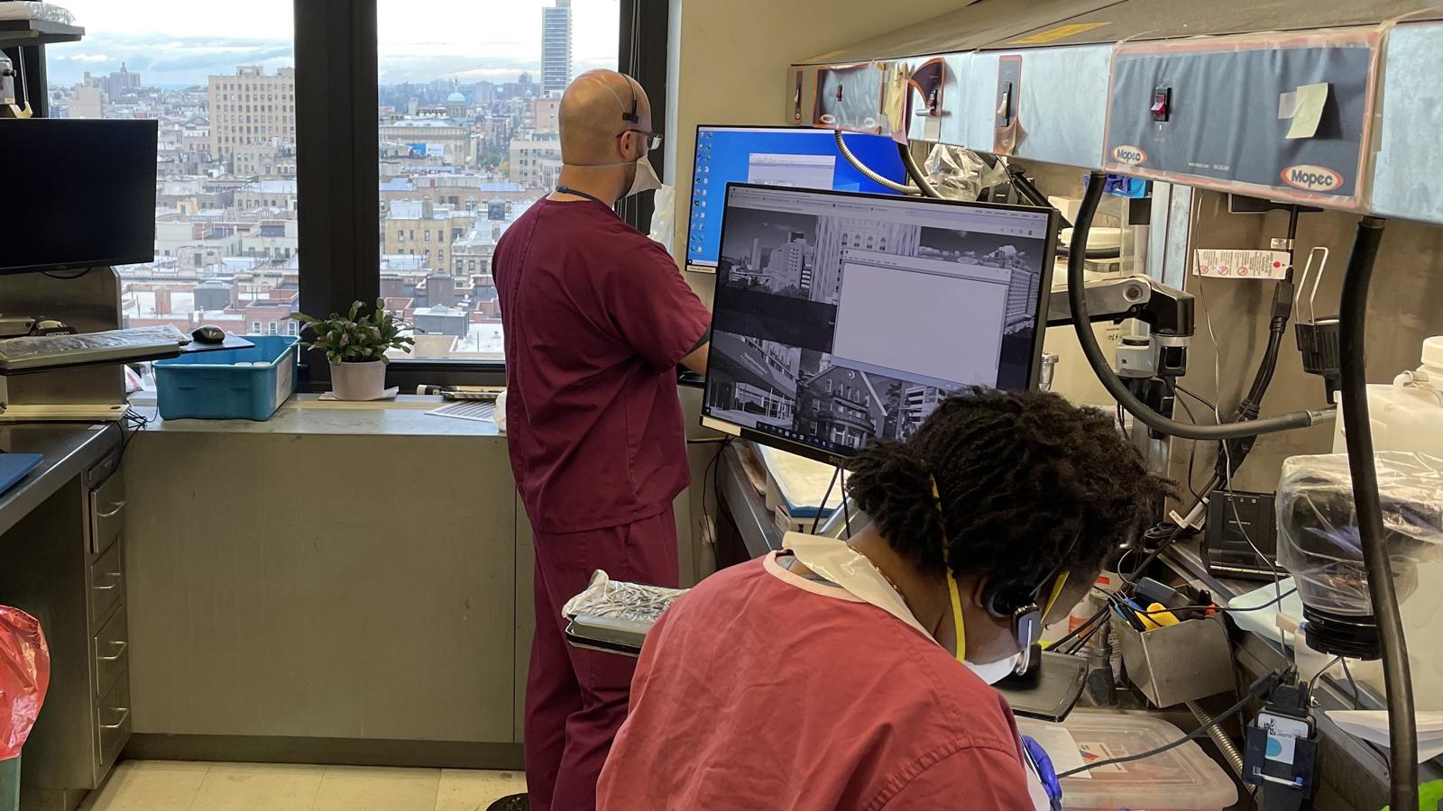 Core Rotations - AP | Pathology