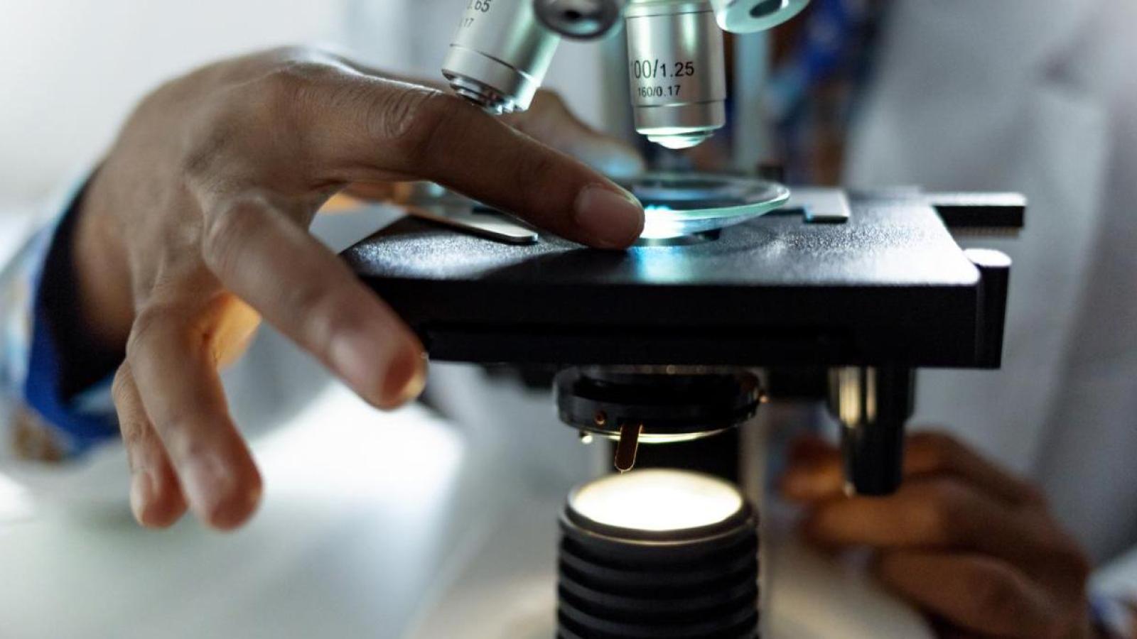 Pathway Programs at Pathology and Cell Biology | Pathology