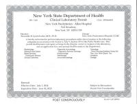 Laboratory Permits and Accreditations | Pathology