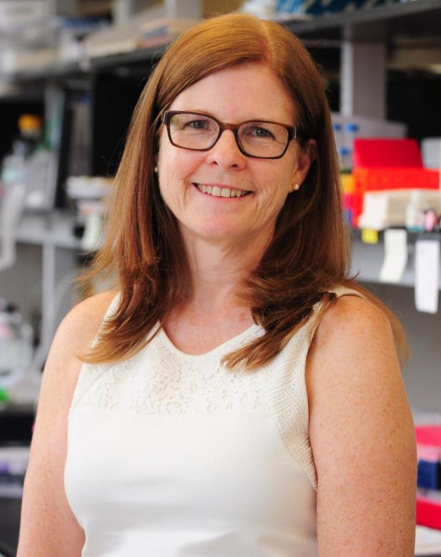 Carol M. Troy, MD, PhD | Pathology