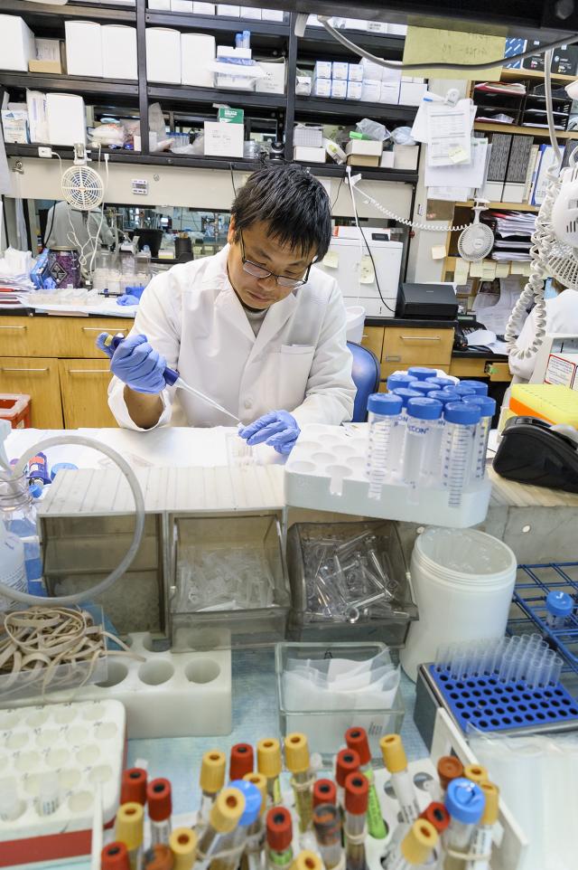 Immunogenetics and Cellular Immunology Laboratory | Pathology