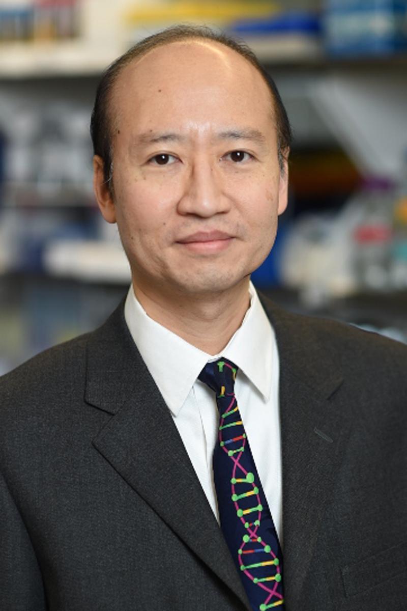 Stephen H Tsang, MD, PhD | Pathology