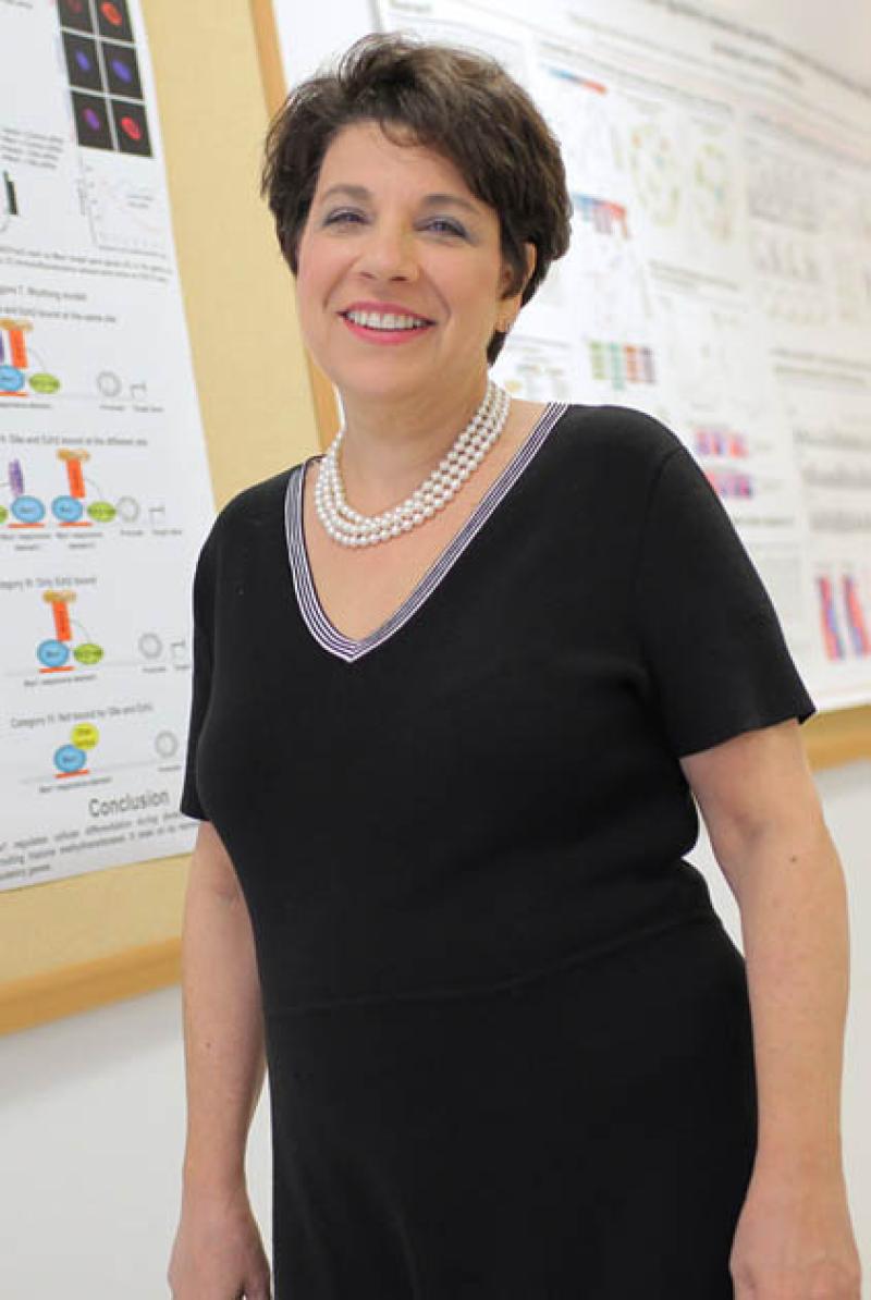 Cory Abate-Shen, PhD | Pathology Cory Abate-Shen, PhD | Pathology