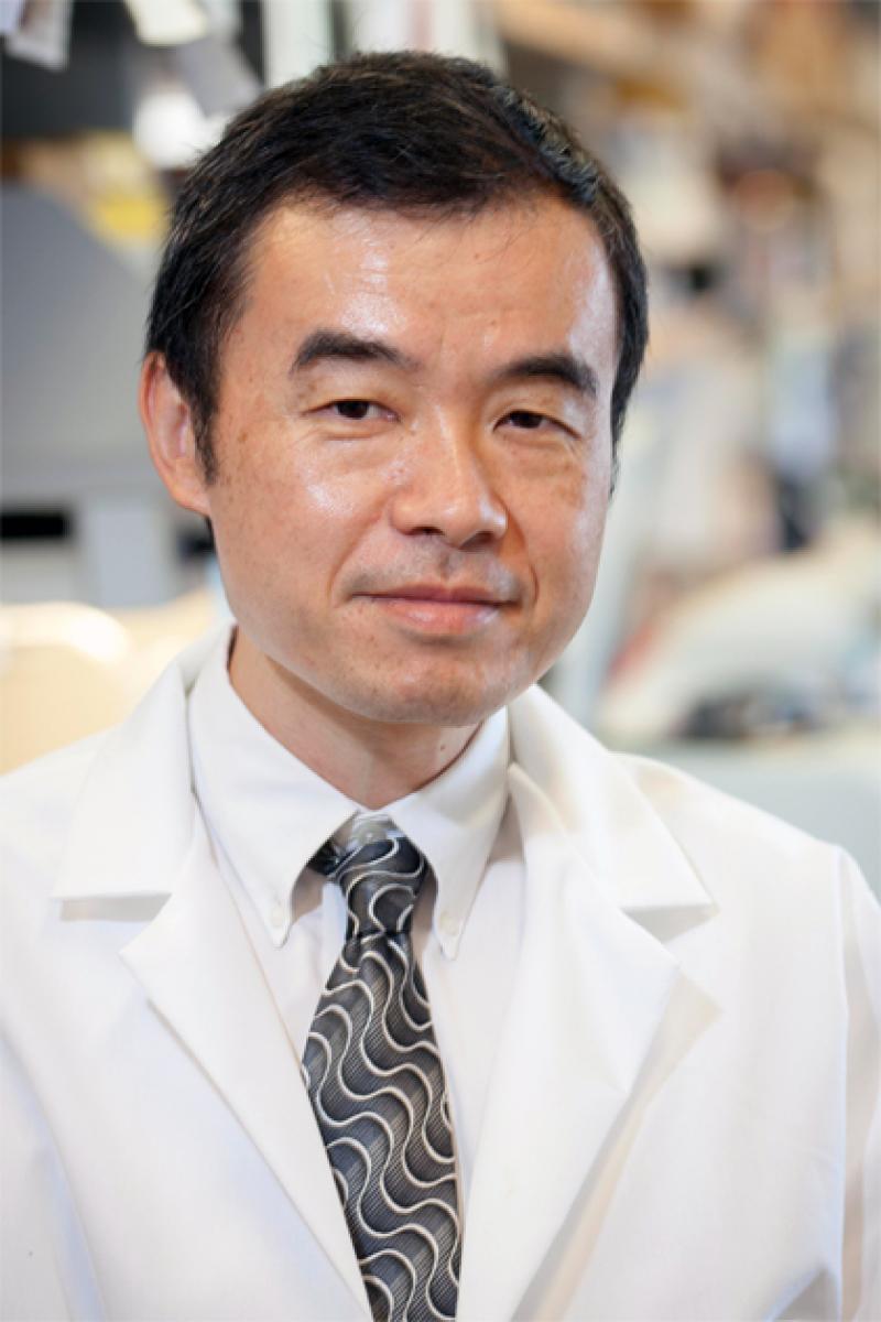 Xin Zhang, PhD | Pathology