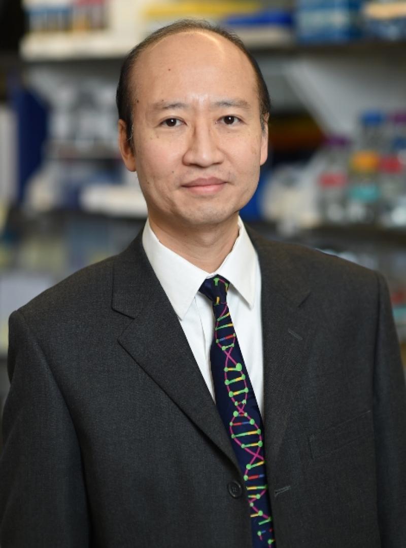 Stephen H Tsang, MD, PhD | Pathology