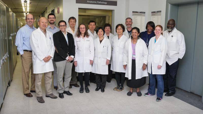 Renal Pathology | Pathology