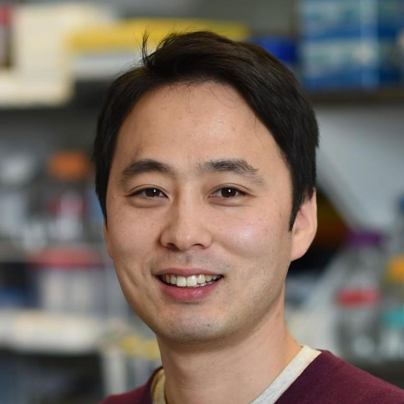 Lab Members | Yang Lab | Pathology